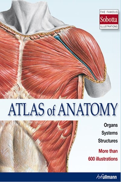 Atlas of Anatomy - Andre sundhedsbøger - PONS - Shop og Akademi